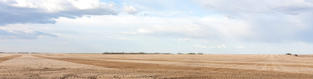 Why Consider Fall Tillage? | Bourgault Tillage Tools